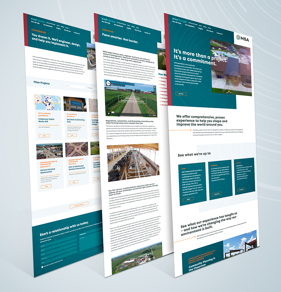 Establishing strategic point of view for professional services firm